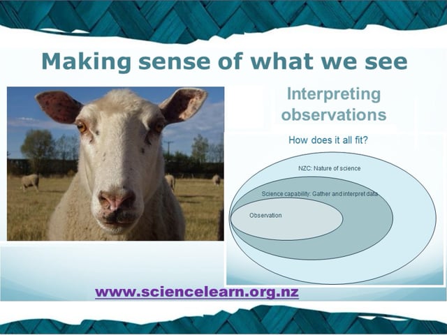 Making sense of what we see — Science Learning Hub