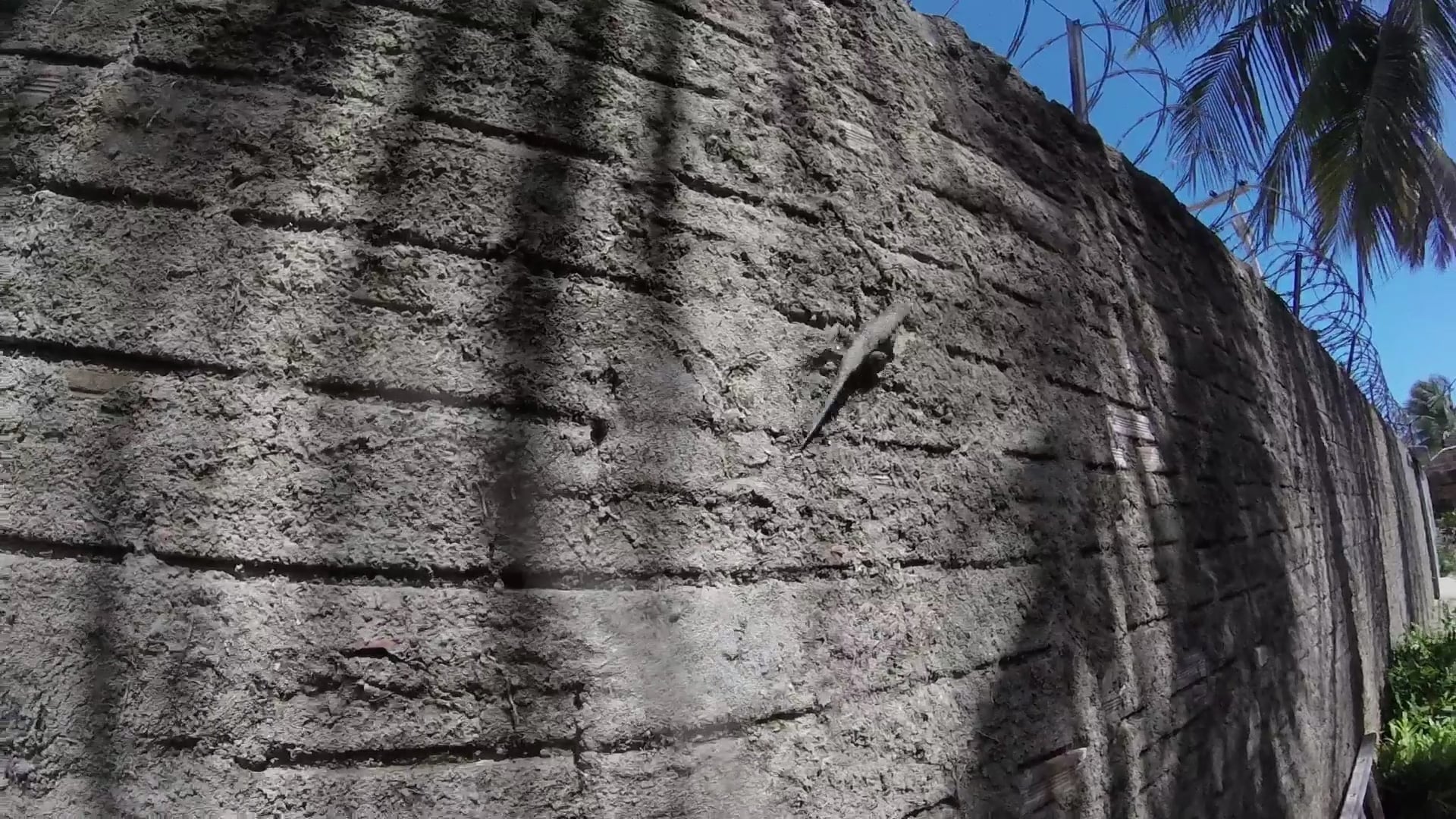 Julian Fidalgo brasil 2016 good place on Vimeo