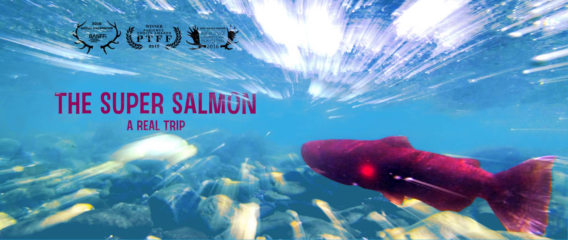 The Super Salmon on Vimeo