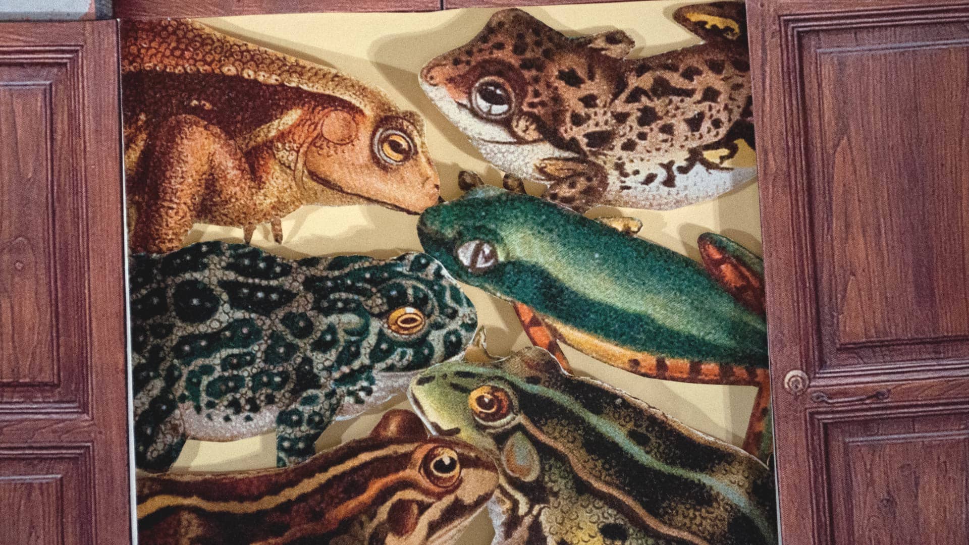 Michael Faraday's Electric Frogs on Vimeo