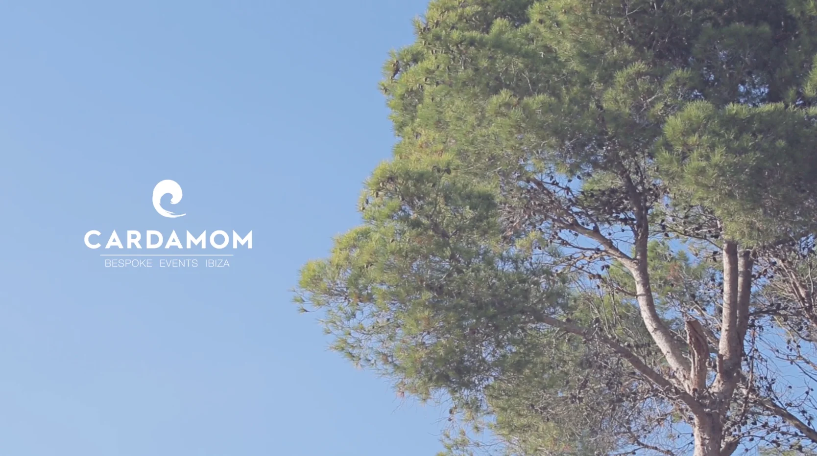 Cardamom - Bespoke Events Ibiza in HORSEWORK STUDIO on Vimeo