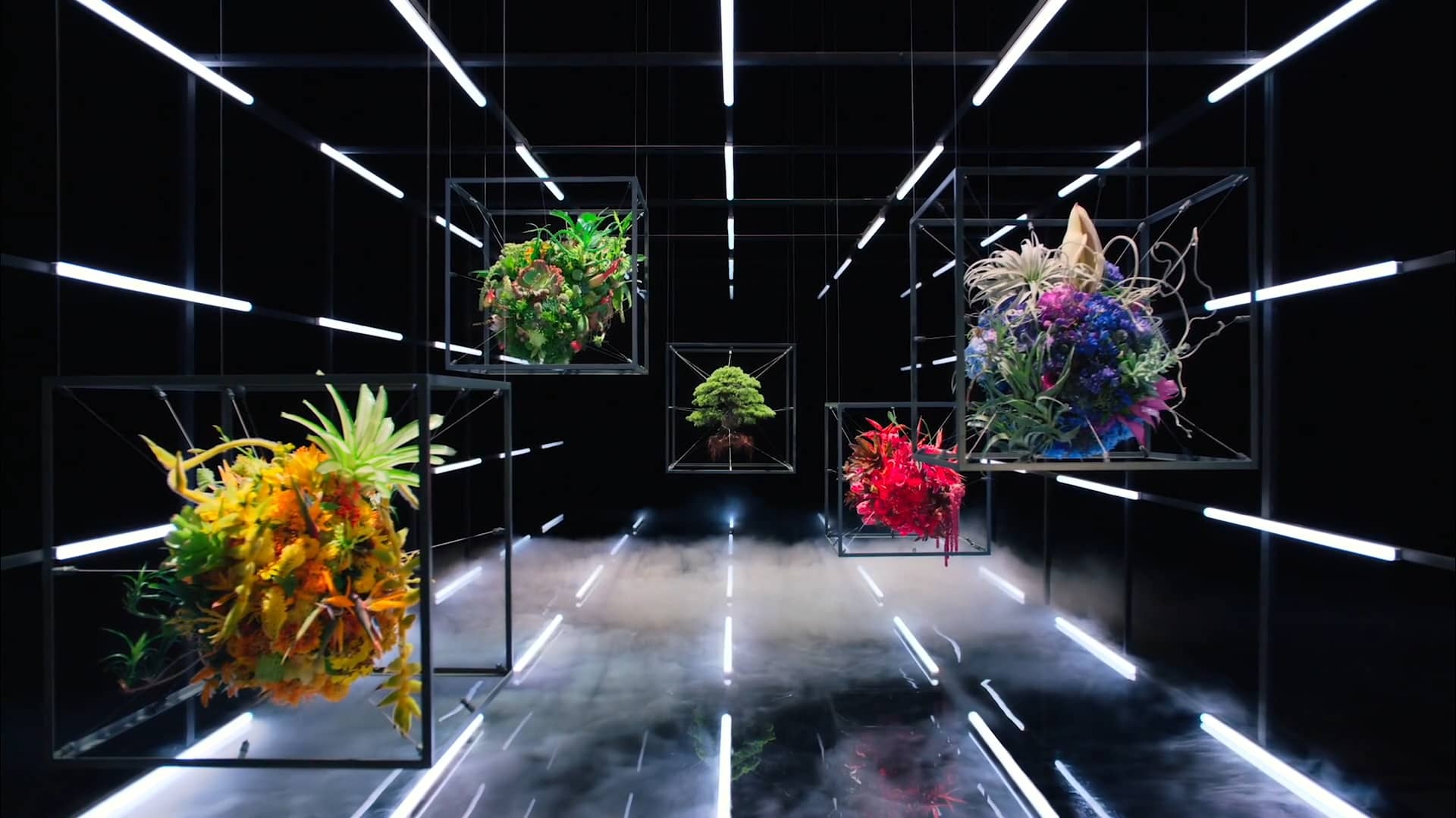 Panasonic4K_in collaboration with Azuma Makoto on Vimeo