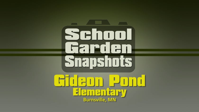 Gideon Pond, Burnsville, MN - Jeffers Foundation