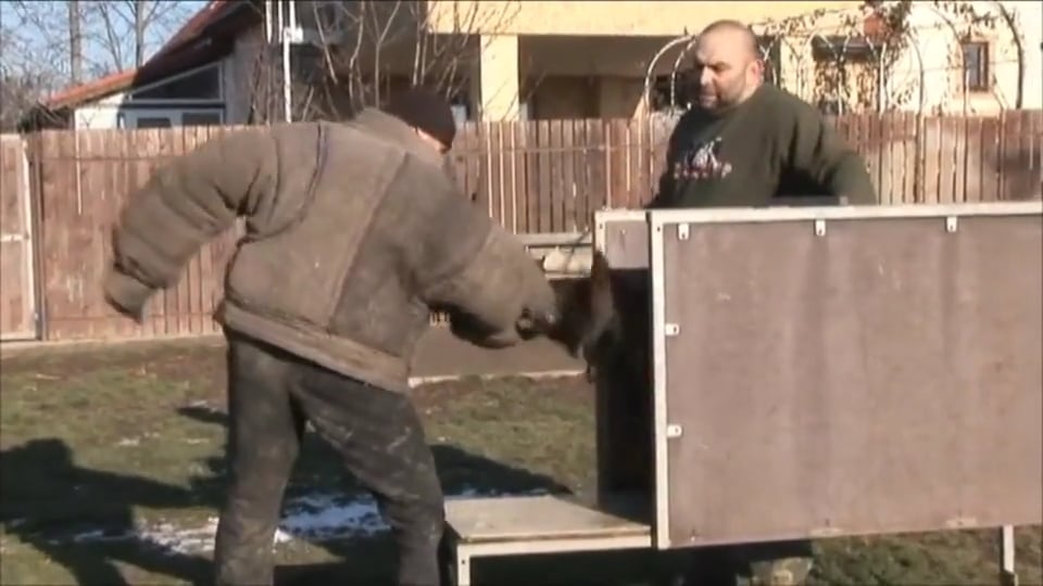 Aaron Box Training on Vimeo