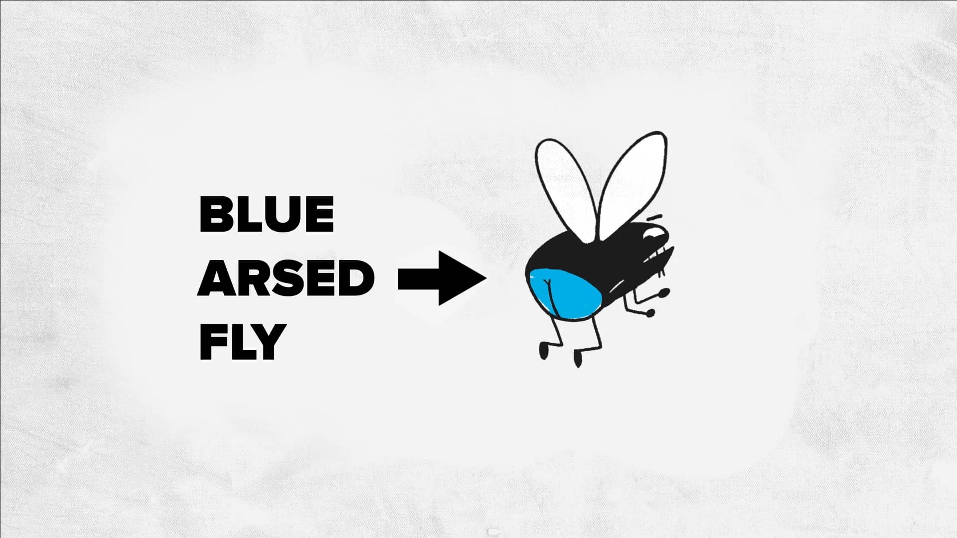 Carfinder Blue Arsed Fly promo (2016) on Vimeo