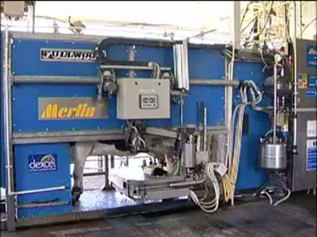 How do robots milk cows? — Science Learning Hub