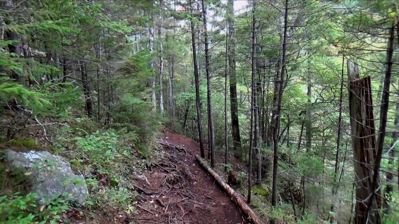 Bemis Brook Trail NH. 2016 on Vimeo