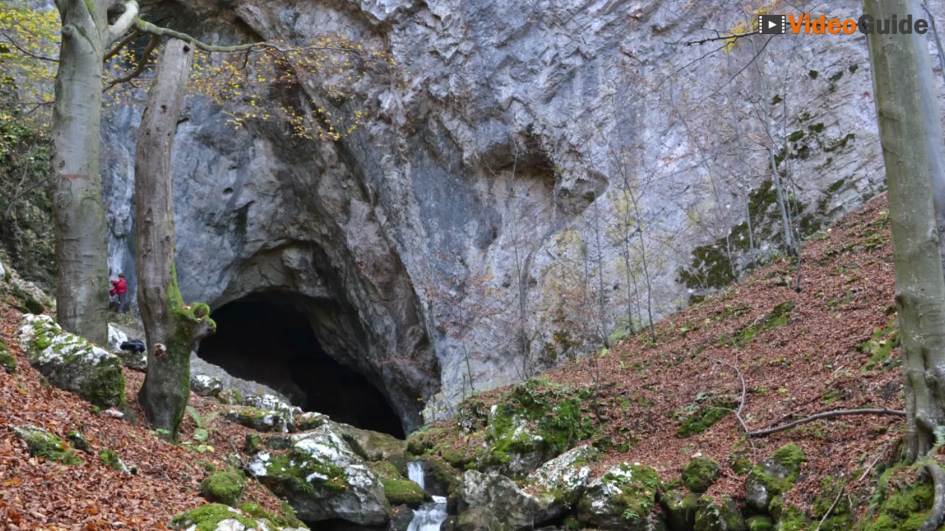 Despre Parcul Natural GRADISTEA MUNCELULUI CIOCLOVINA - VideoGuide