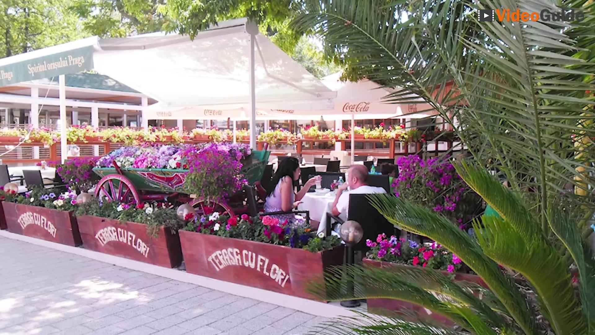 Despre Restaurant TERASA CU FLORI Mamaia - VideoGuide