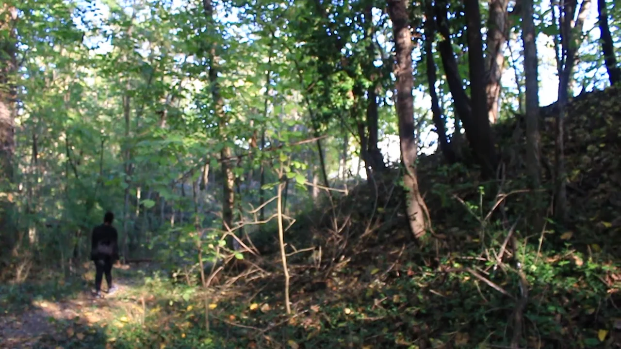 Wild Woman on Vimeo
