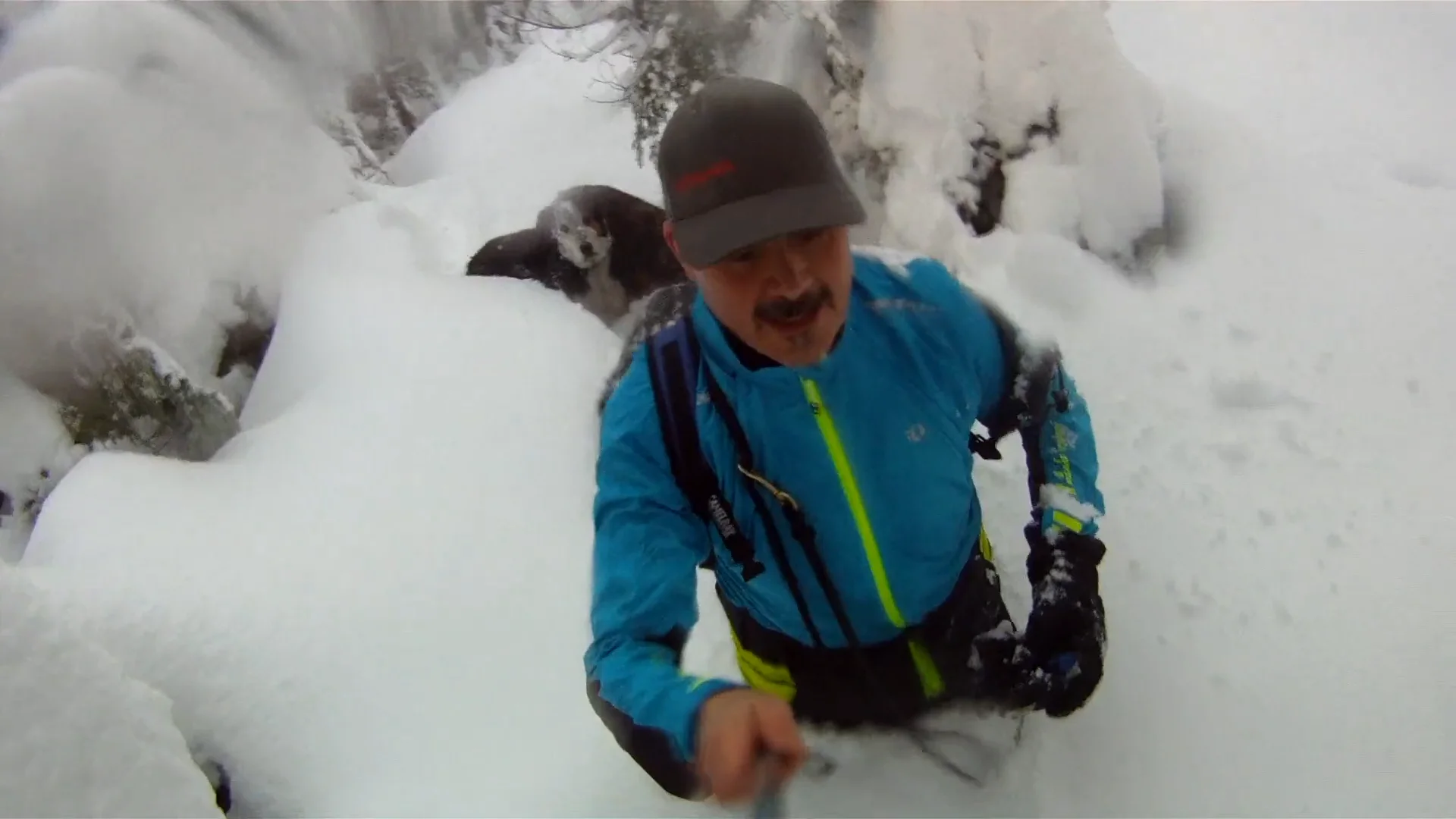 Snow Dogs 2 on Vimeo