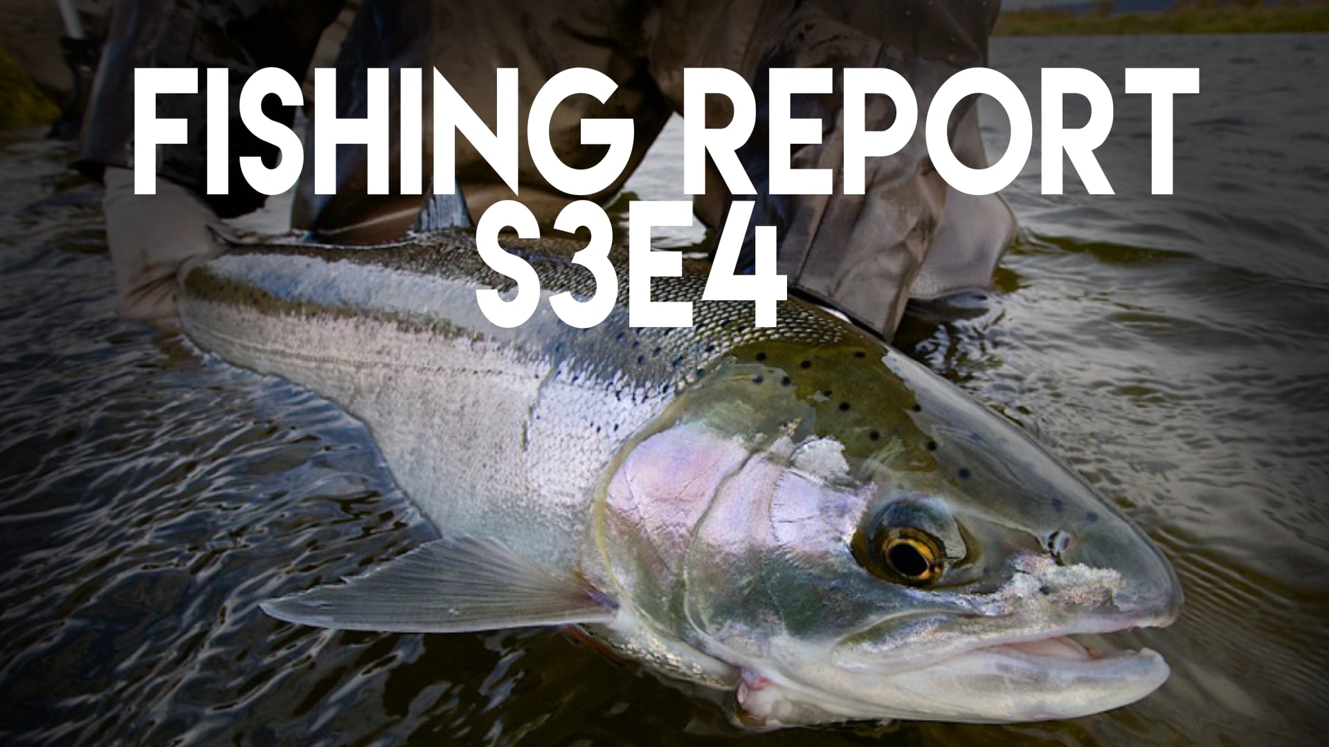 KTVA Fishing Report - FR s3e4 on Vimeo