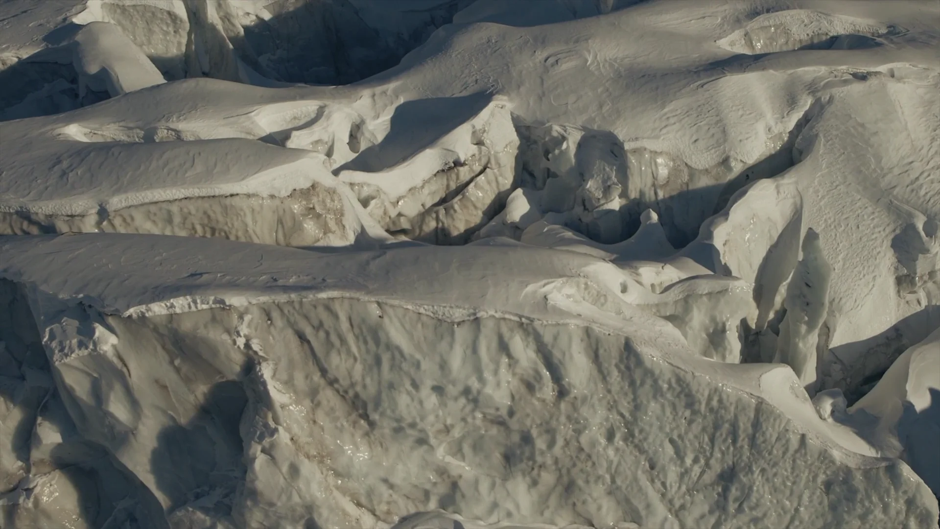 Watch Backyards Project - English Version Online | Vimeo On Demand on Vimeo