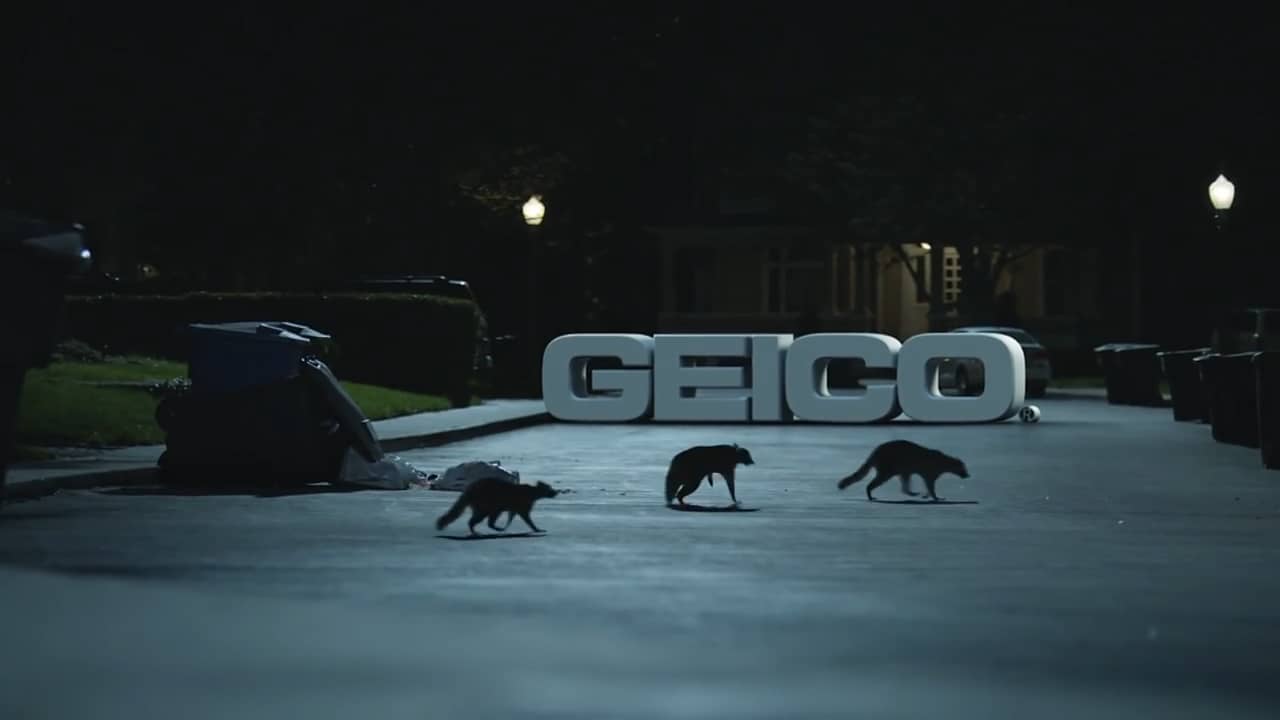 Raccoons - It's What You Do - GEICO on Vimeo
