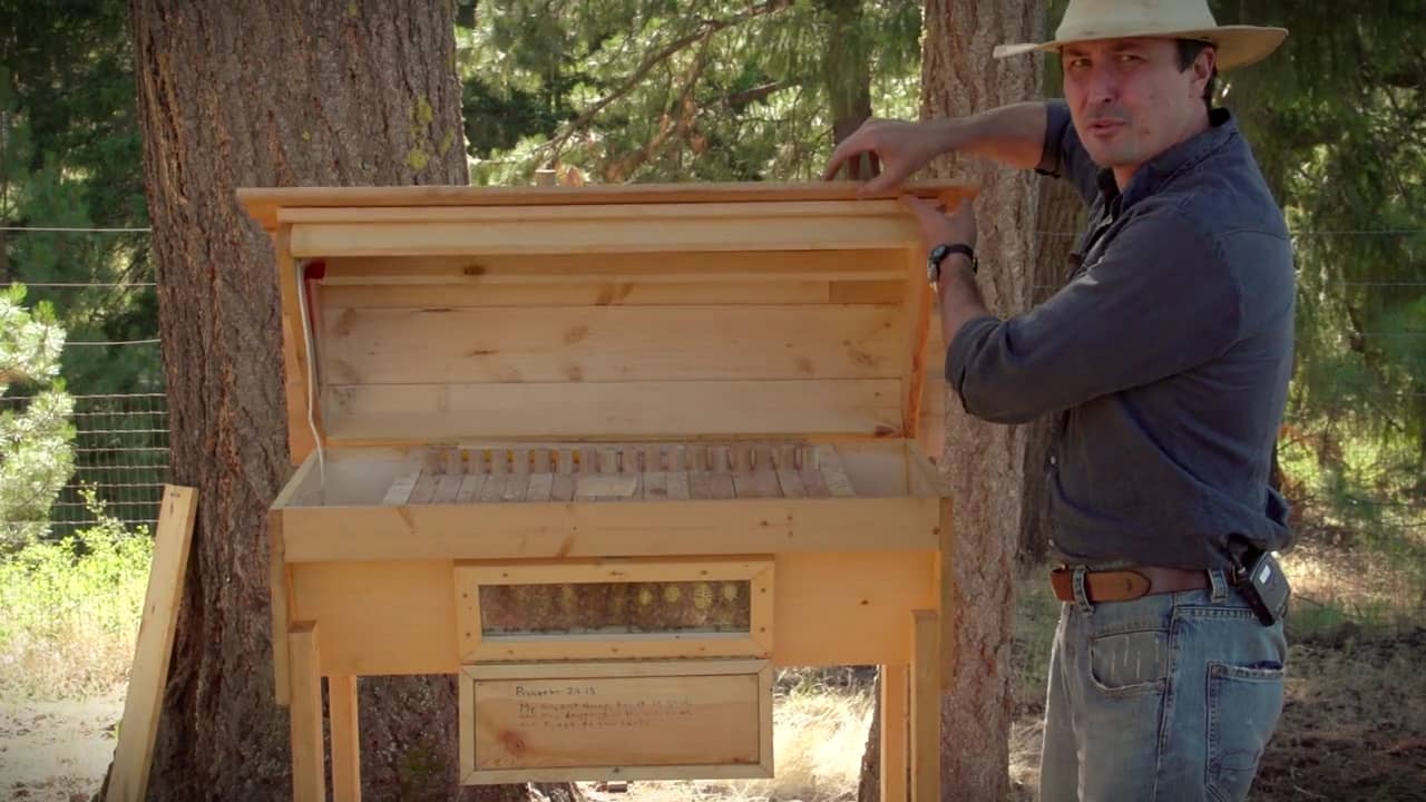 Homesteaders Cody AKA Wranglerstar & Rick Austin discuss the importance ...