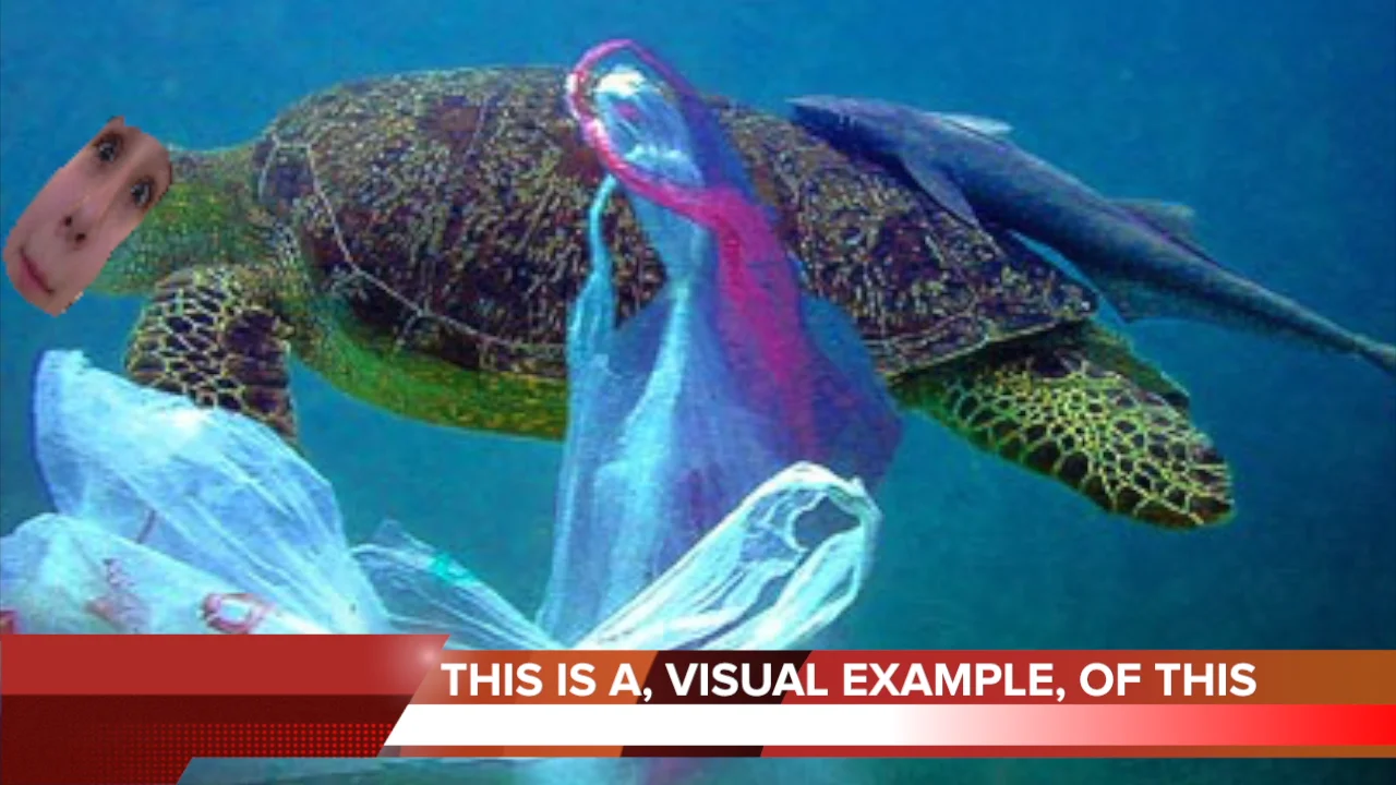 MLG TURTLE PSA on Vimeo