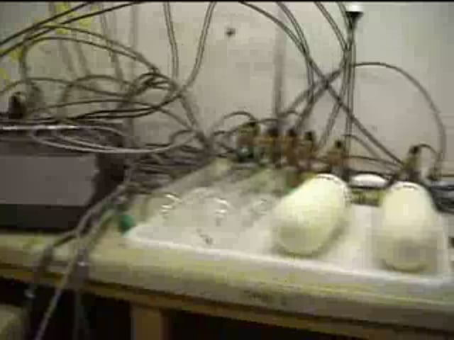 Collecting air samples from Baring Head — Science Learning Hub