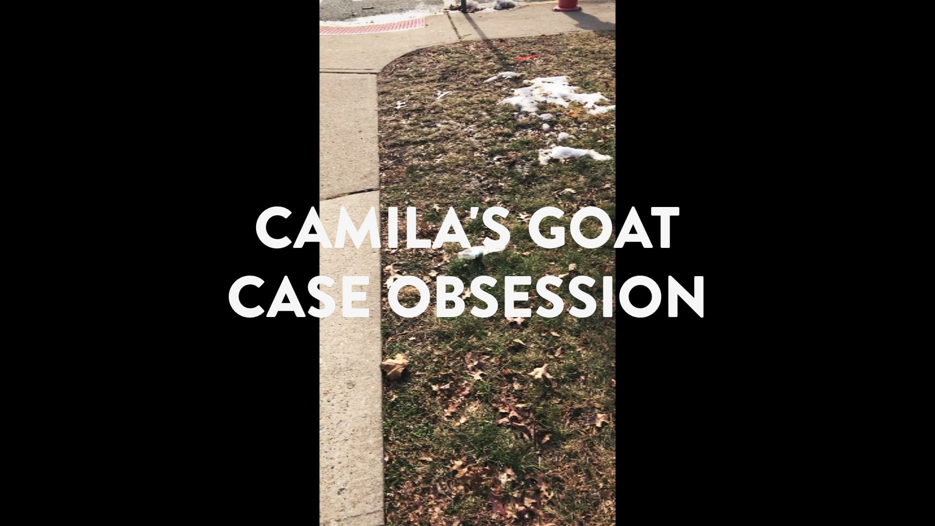 Camila's Goat Case Obsession on Vimeo