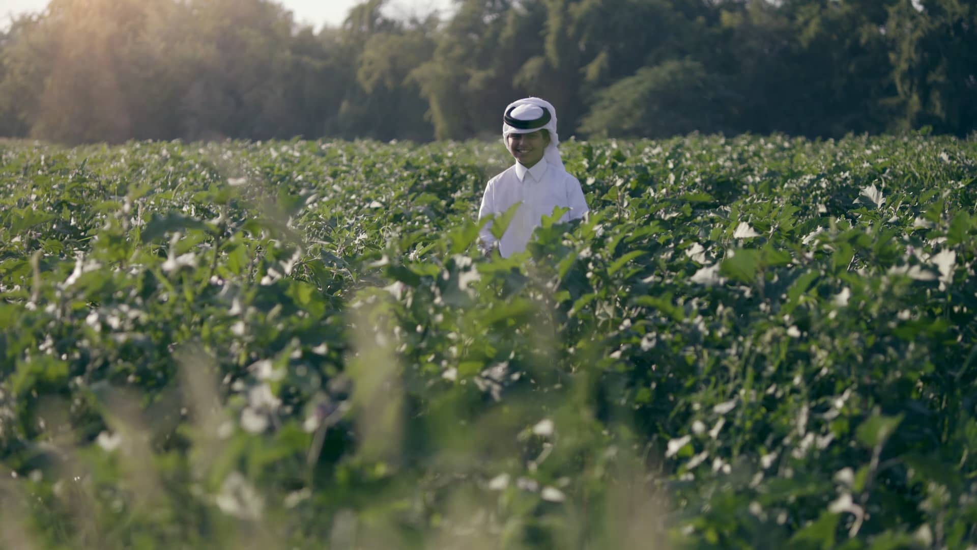 Hassad Food TVC on Vimeo