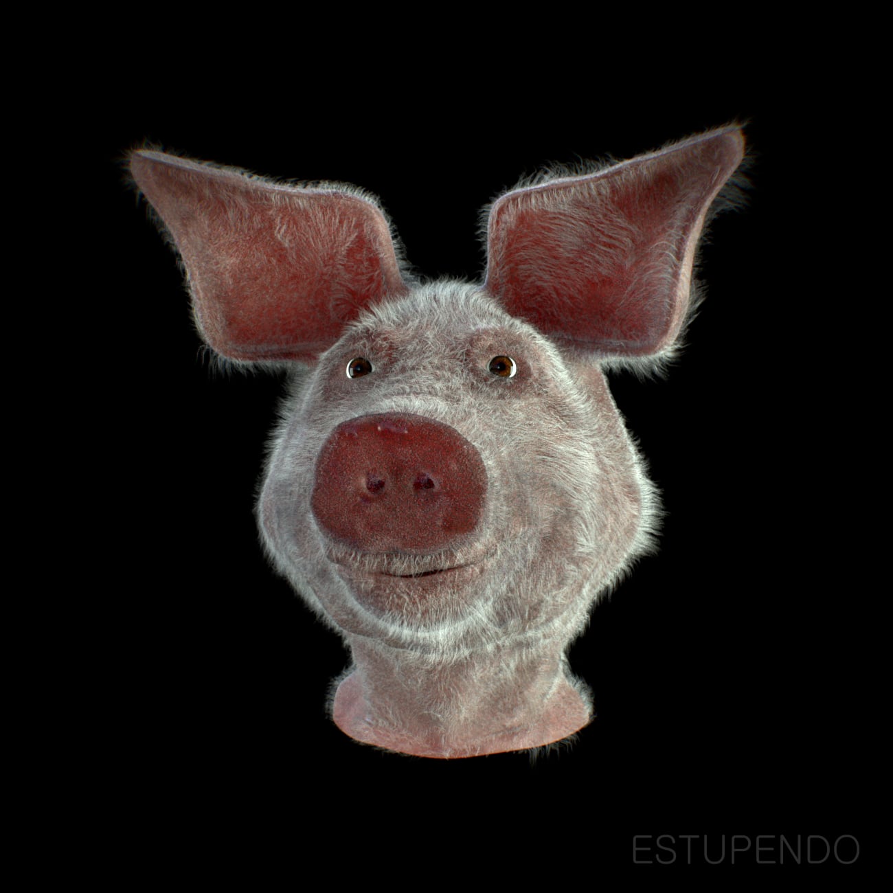 Pig Face Swap on Vimeo