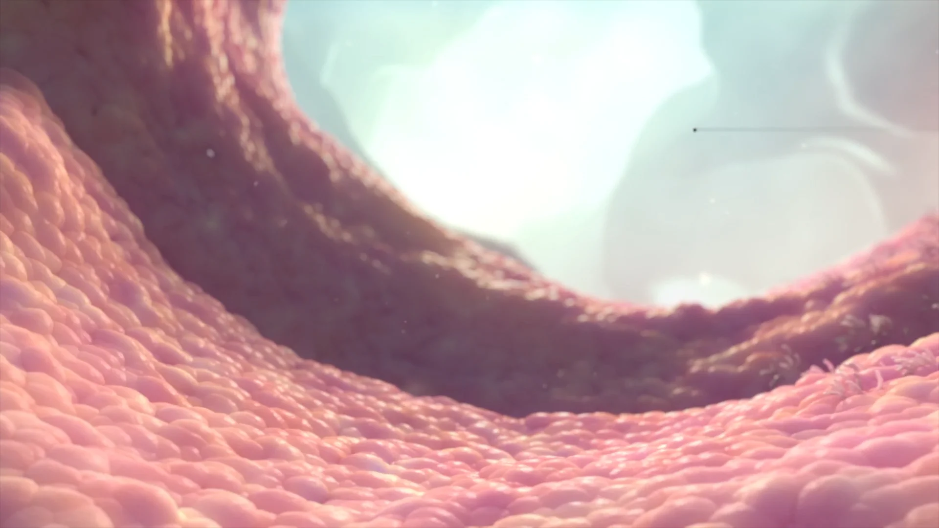 A Virus Attacks a Cell