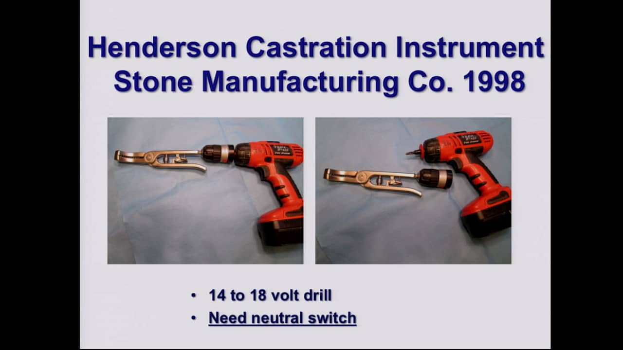 LVS16 D2 BVAEQUINE 1230 How to castrate a stallion using the Henderson ...