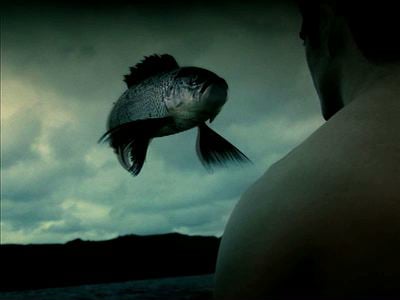 Fish on Vimeo
