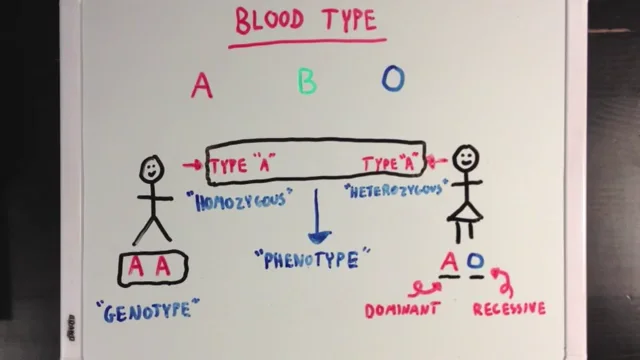 An Introduction To Mendelian Genetics Biomolecules Mcat Khan