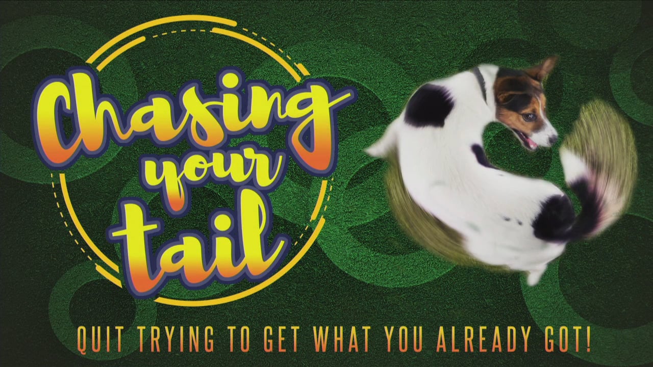 Chasing Your Tail - Part 2 on Vimeo