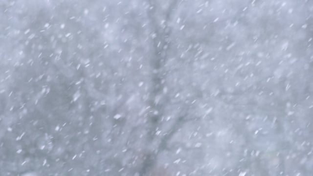 Schneefall Schnee Schneien - Free video on Pixabay