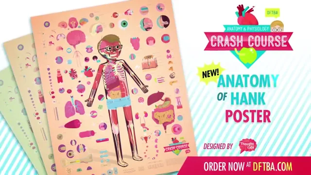 Urinary System, part 2- Crash Course A&P #39 - YouTube on Vimeo