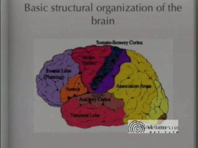 Petr Janata: "Music, Spirituality, and the Human Brain" on Vimeo