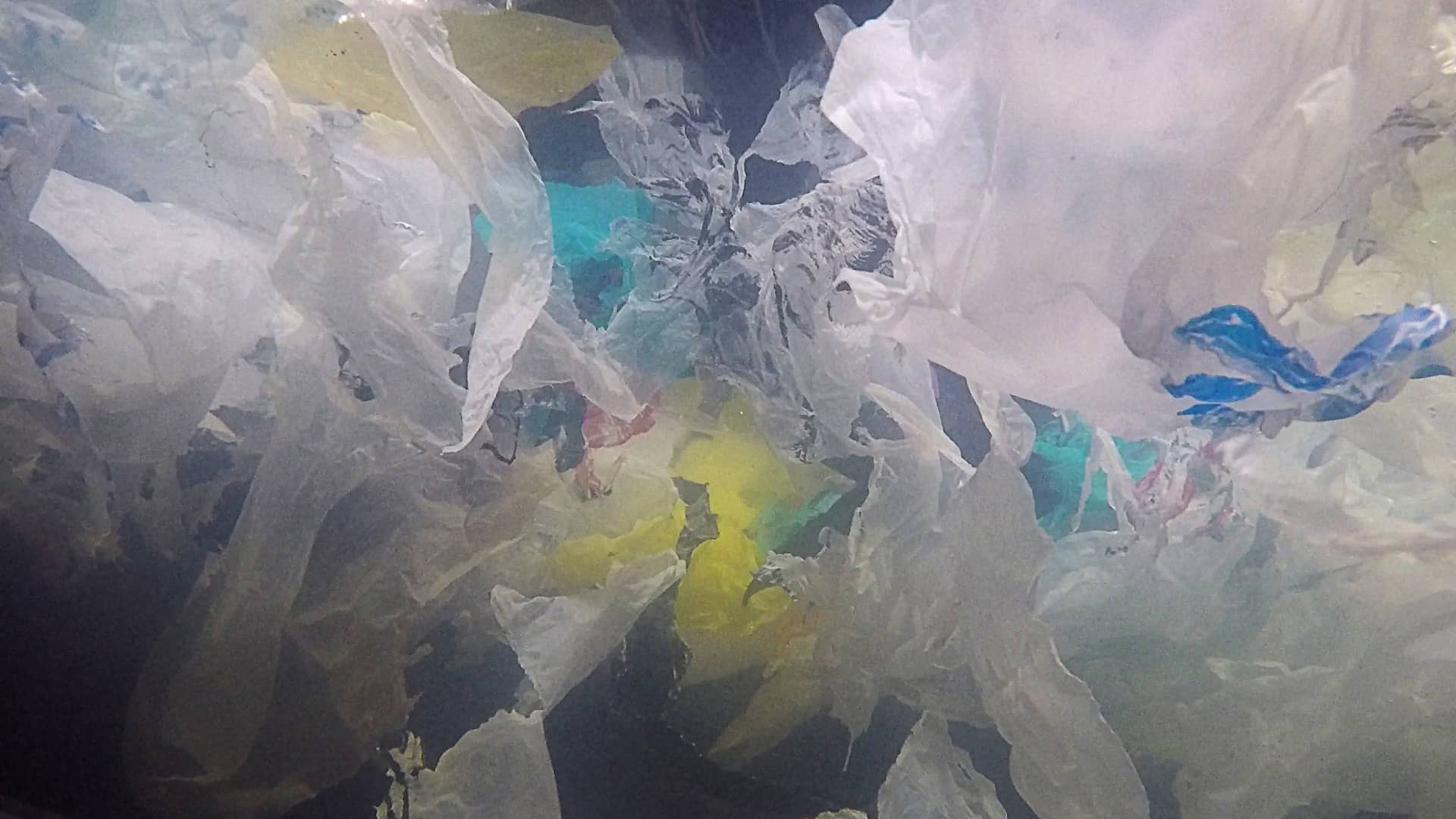 Deep Blue Plastic - Video Installation by Ethan Turpin on Vimeo