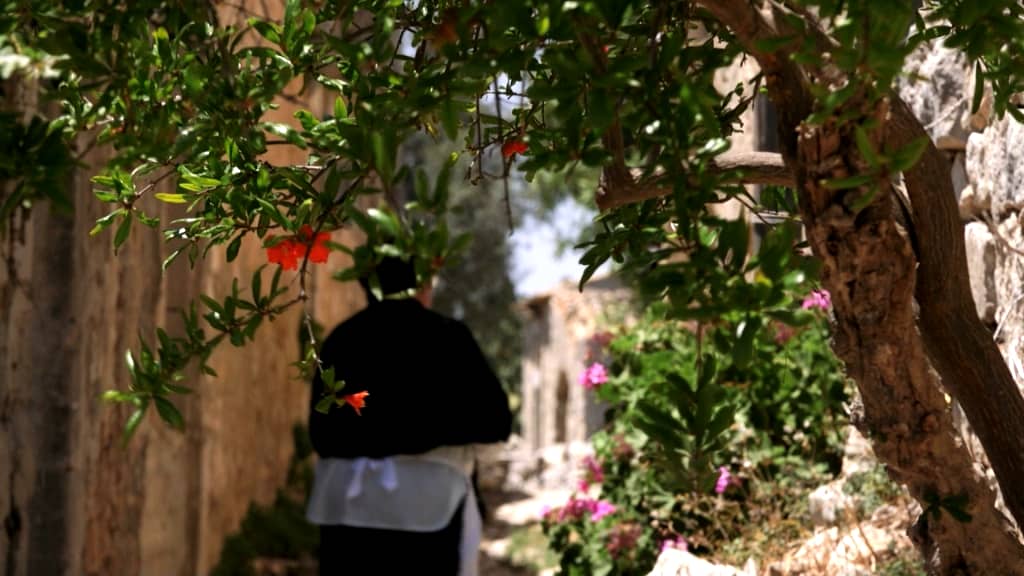 manuela romano showreel on Vimeo