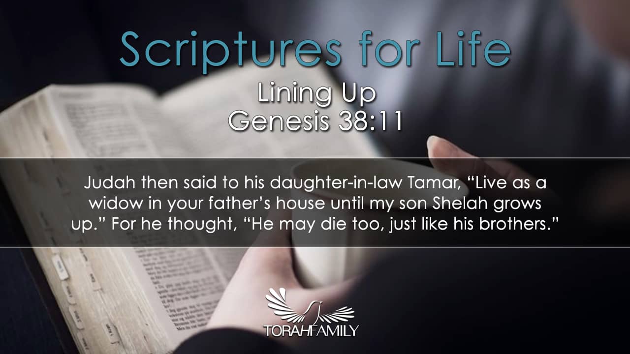 Scriptures for Life | Lining Up on Vimeo