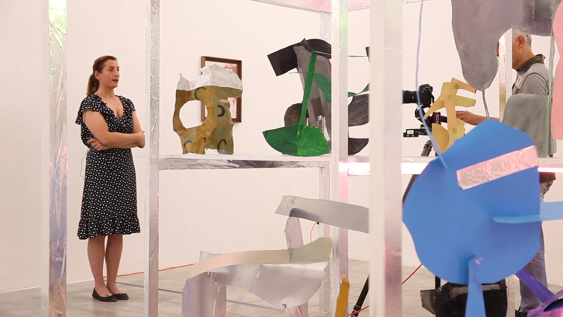 L'intervista integrale a Paola Capata, direttrice della Monitor Gallery ...