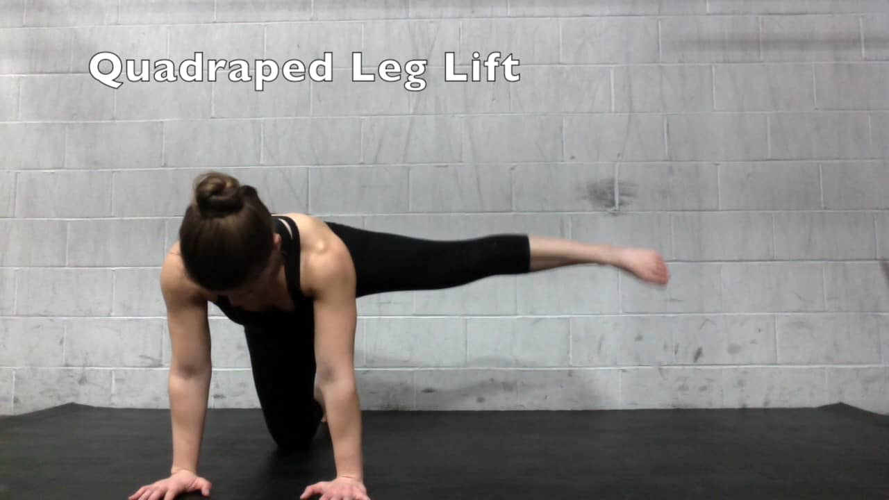 Quadraped Leg Lift on Vimeo