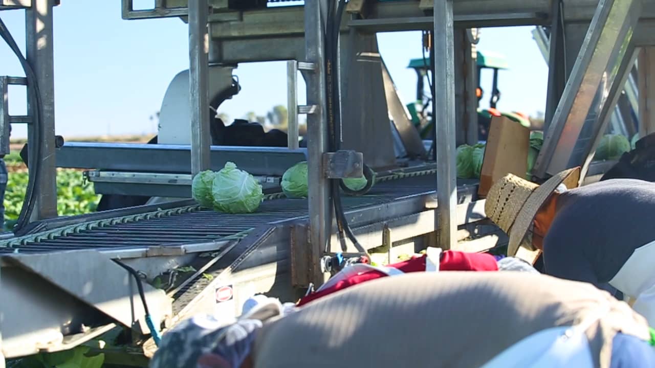 COPAN's Swab Rinse Kit (SRK) Promotional Video on Vimeo