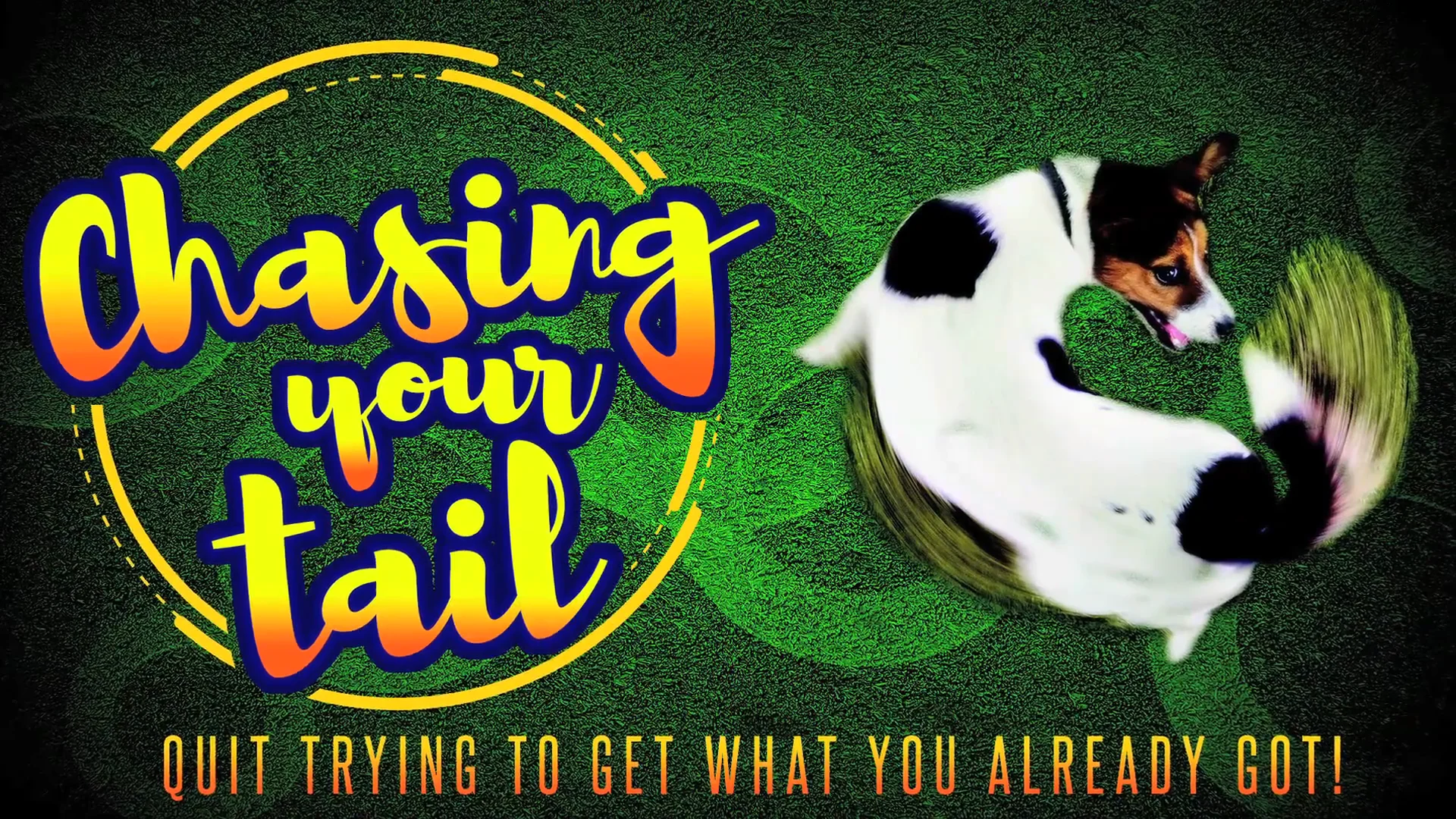 Chasing Your Tail - Part 3 on Vimeo