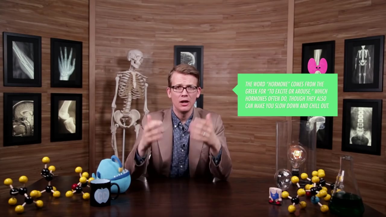 Endocrine System, part 1 - Glands & Hormones Crash Course A&P #23 on Vimeo