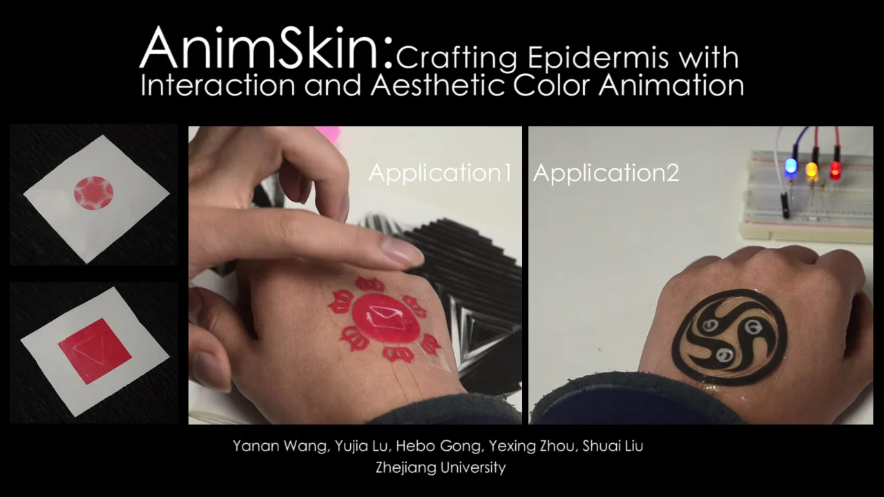 AnimSkin: Crafting Epidermis with Interactive and Aesthetic Color Animation