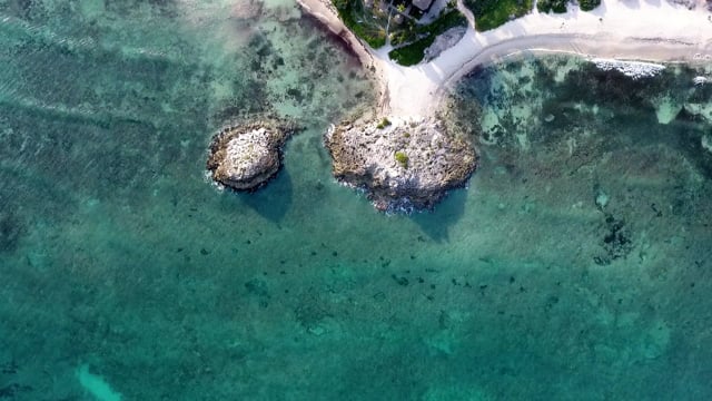 Beach, Shore, Aerial View. Free Stock Video - Pixabay