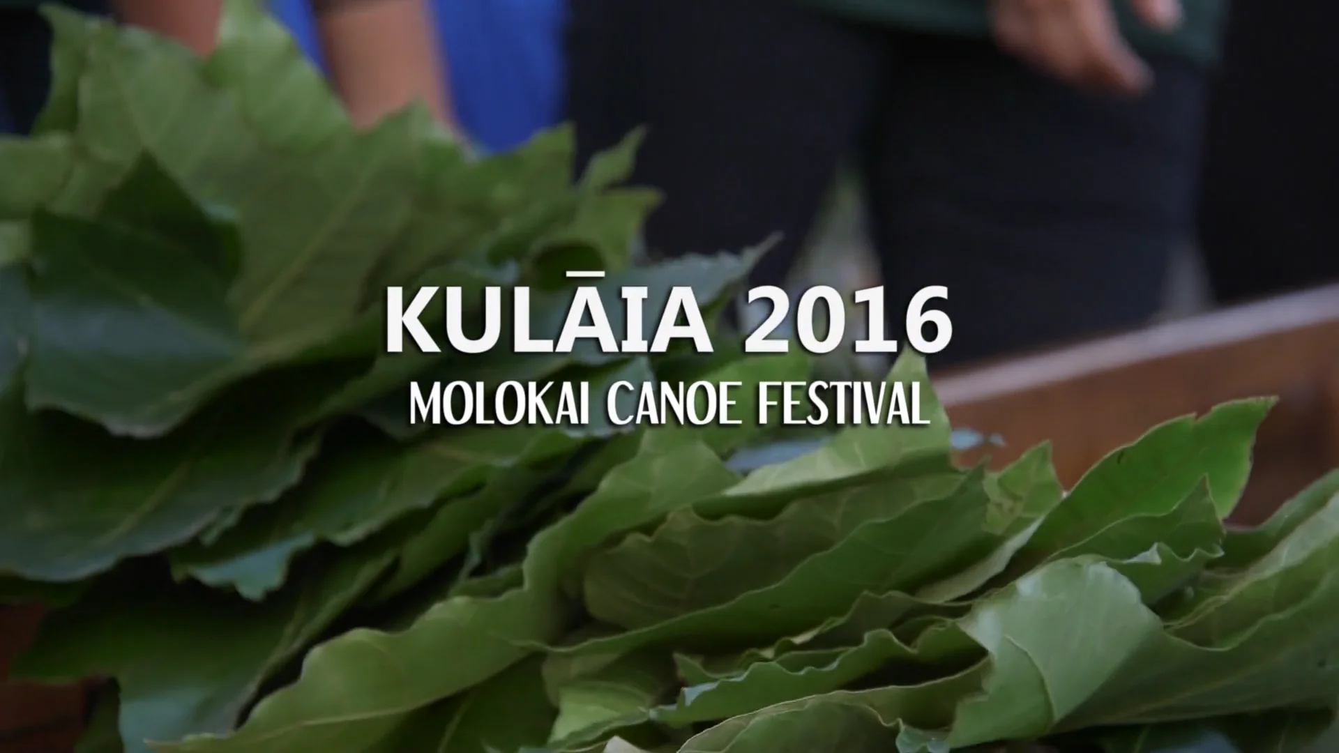 Kulaia 2016 - Highlight Video on Vimeo