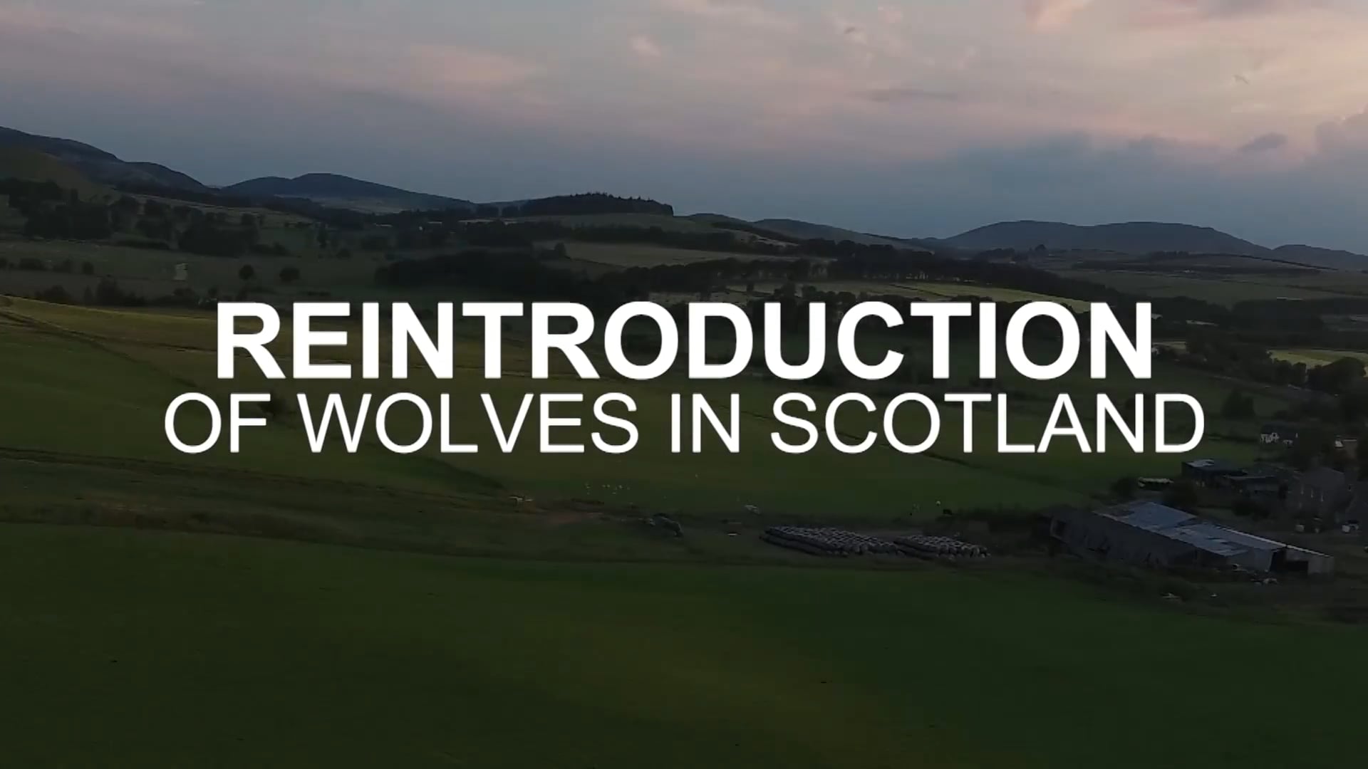 Reintroduction of Wolves in Scotland on Vimeo