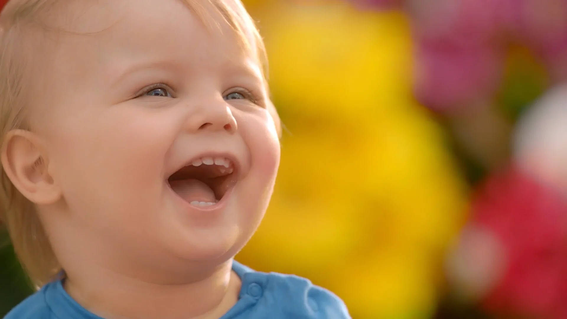 MOLFIX DIAPERS - IRAN on Vimeo