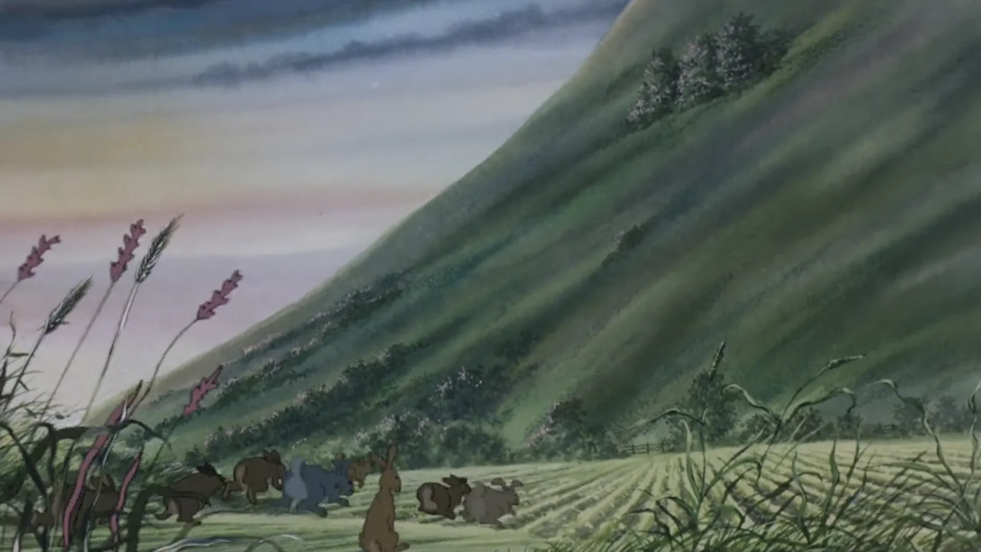 Watership Down book locations by Drone on Vimeo