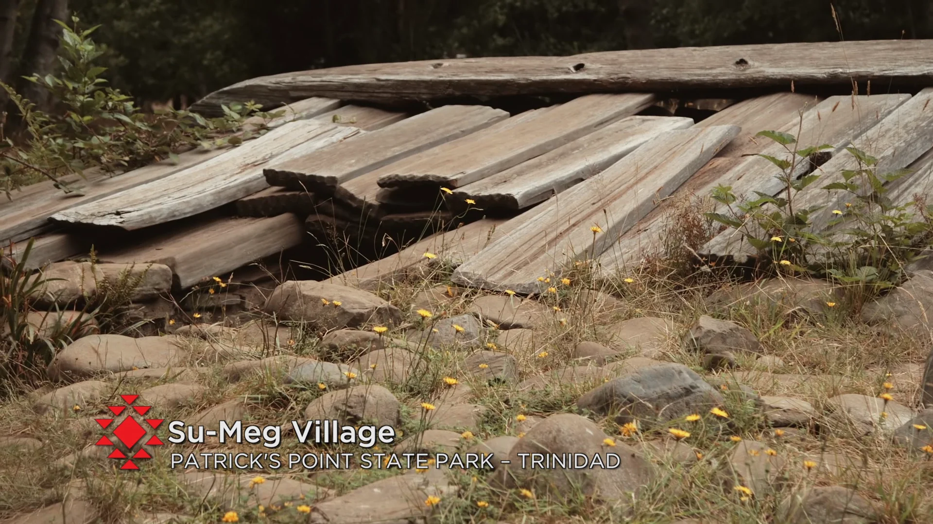 *15 Su-Meg Village - Trinidad - Graded - Titles-Best For Vimeo on Vimeo