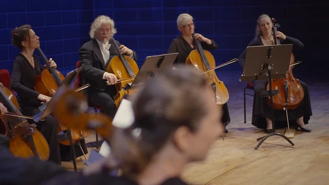 Instruments Of The Symphony Orchestra