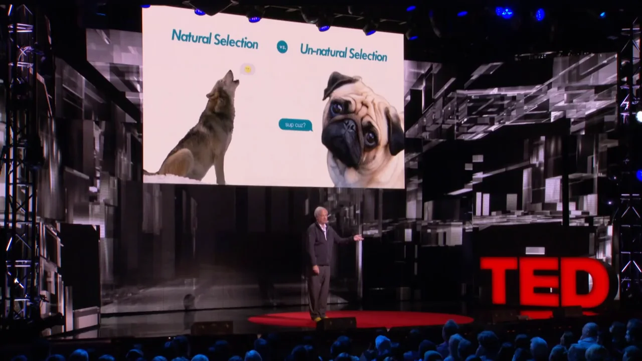 Sample Shows - TED TALKS - Science and Wonder - Juan Enriquez- Natural ...