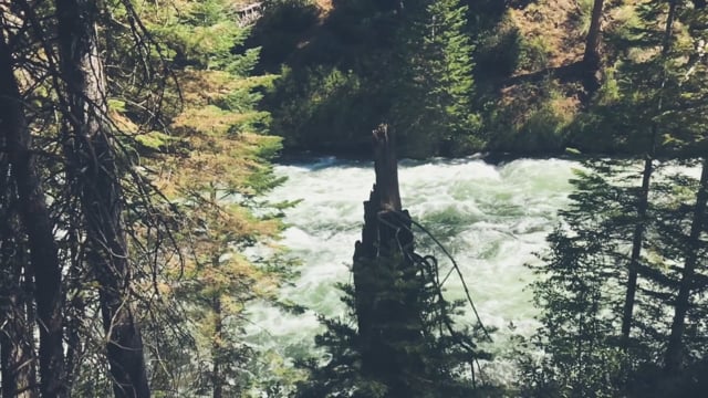 Stream Rapids River - Free video on Pixabay